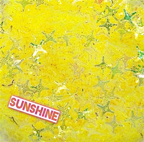 Sunshine Body Glitter Etsy