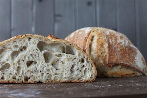 How To Make A Sourdough Starter From Wild Yeast