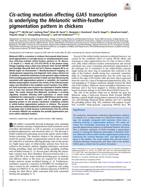 Pdf Cis Acting Mutation Affecting Gja5 Transcription Is Underlying The Melanotic Within
