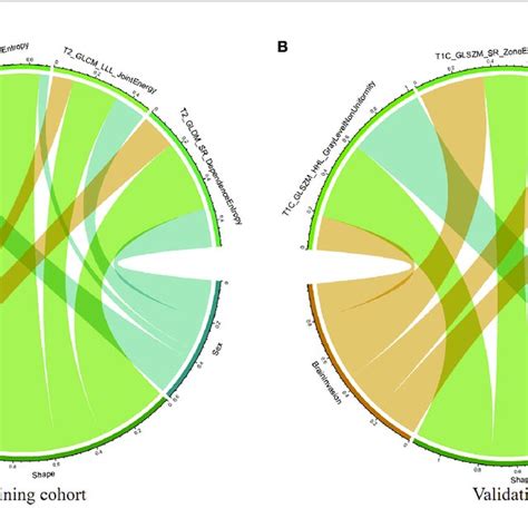 Chord Diagram Of The Correlation Between Clinicoradiological And