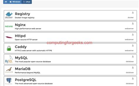 Install Portainer Docker Web UI On Linux ComputingForGeeks