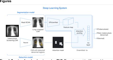 Figure 1 From Deep Learning For Detecting Pulmonary Tuberculosis Via Chest Radiography An