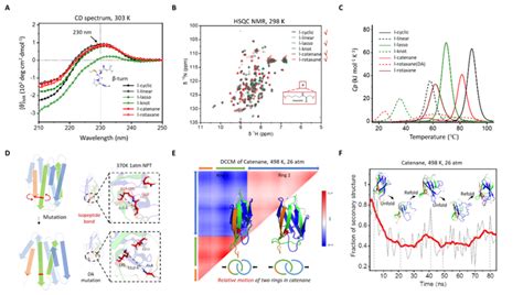 【soft Matter Lecture 118】tuning The Molecular Design Of Polymers To Achieve Self Assembled