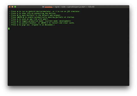 Getting Started With Expo Right Now Litslink Blog