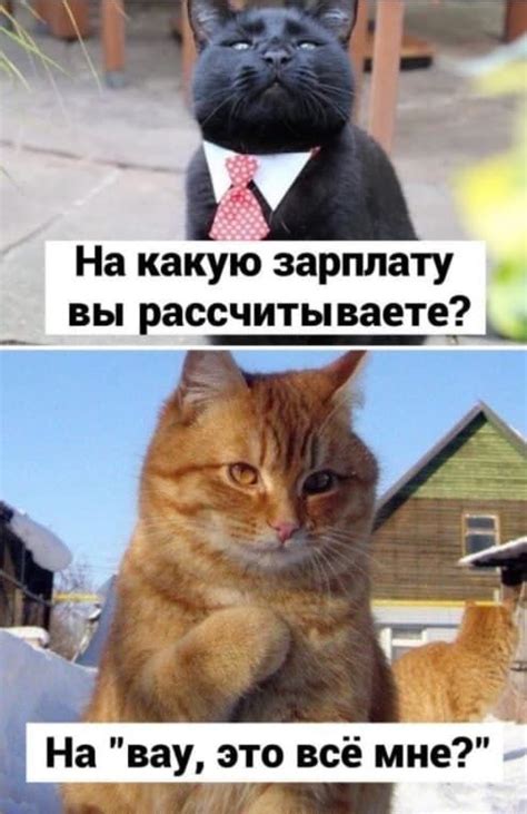 Vacancy Pythondeveloper Relocation Poland Wroclaw Python Elena