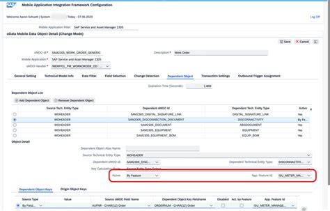 Configuring Features And Personas In Sap Service A Sap Community