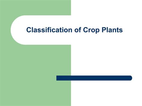 4 Classification Of Crop Plantspptclassification Of Crop Plants Ppt
