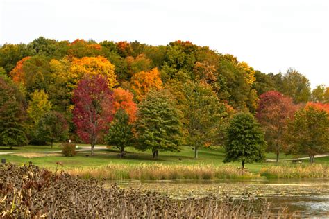 13 Best Places To See Fall Foliage In Pennsylvania Before Its Gone