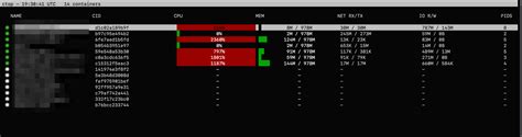 bug the cpu usage is incorrect · issue 127 · bcicen ctop · github