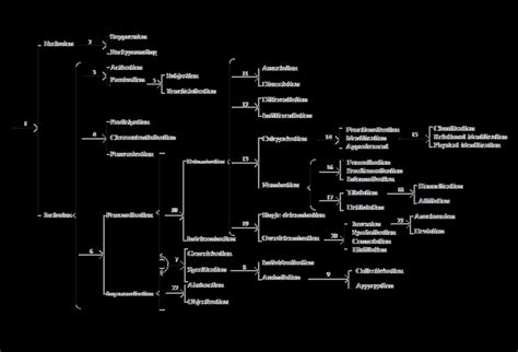 The Analytical Framework Of The Study Social Actor Network Download