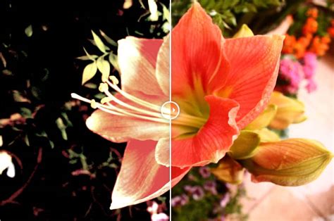 How To Add A Before And After Photo Slider In WordPress
