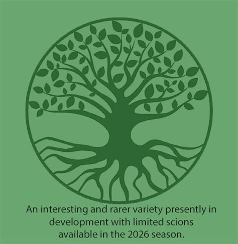 Three Counties A New Bittersweet Cider Apple Yorkshire Apples