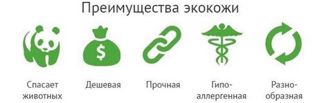Экокожа: что это за материал, состав, виды и свойства, преимущества и ...