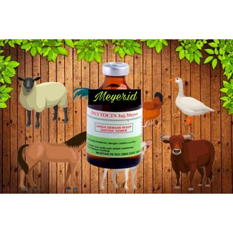 Oxytocin Inj Meyer 10ml And 50ml To Help The Process Of Birth By