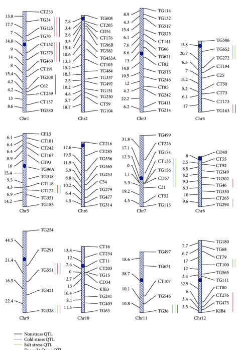 An Rflp Linkage Map Of The 12 Tomato Chromosomes Constructed Based On A Download Scientific