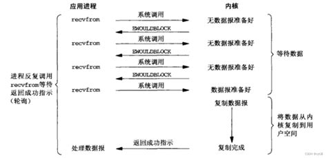 五种网络io模型 Csdn博客