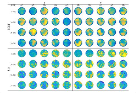 Labeled Brain Neural Dynamics θ φ F τ λ Extracted By The