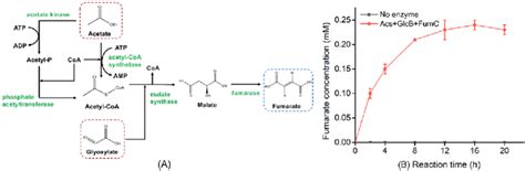 A Schematic Illustration Of The In Vitro Multi Enzyme Catalytic