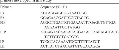 Table 1 From Loop Mediated Isothermal Ampliﬁcation For Rickettsia Typhi