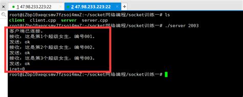 【c网络编程】socket基础：网络通讯程序入门级教程c Socket 客户端 Csdn博客