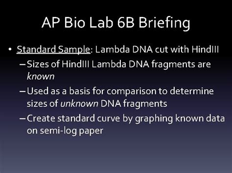 Gel Electrophoresis Lab Ap Biology Lab 6 B