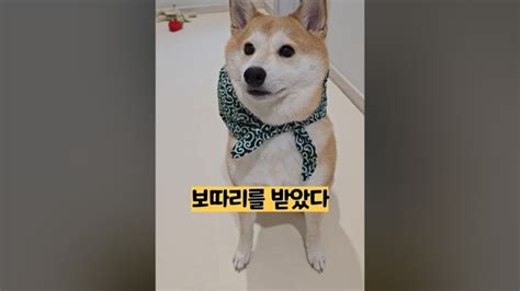 보따리를 받았다 네이버 Tv