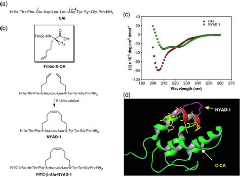 Figure 1 From A Cell Penetrating Helical Peptide As A Potential Hiv 1