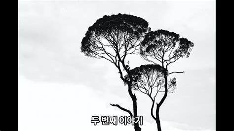 탈무드17첫번째 기도의 응답 두번째 노인의 선물 세번째 선과 악지혜로운 사람 현명한 사람 좋은 사람으로 변화 시키는 이야기 Youtube