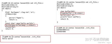 Linux 基础IO全面介绍 知乎