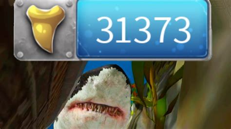 Infinite Teeth Glitch In Sharkbite 2 Youtube