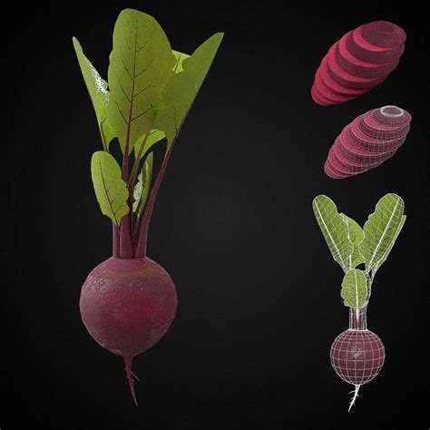 Beet Root Vegetable Pbr Model Turbosquid 1582748