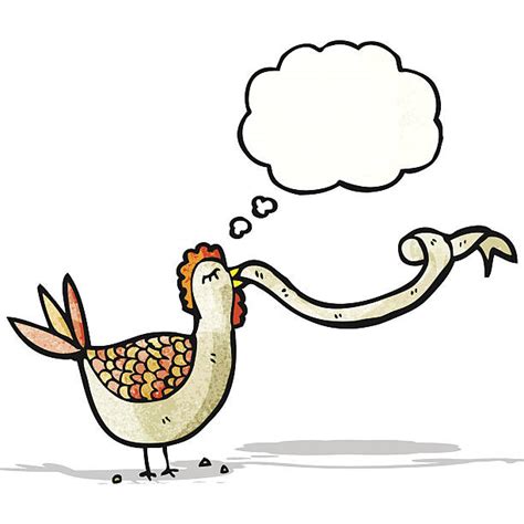 30 Chicken Clucking Stock Illustrations Royalty Free Vector Graphics