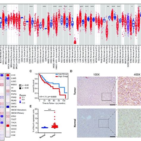 Expression Level And Clinical Values Of Nupr1 In Lihc A Mrna Download Scientific Diagram