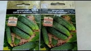 Огурец Изумрудная россыпь: отзывы, описание сорта, фото, видео, отзывы ...