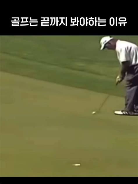 골프팁 아니 이게 뭐람 Instagram