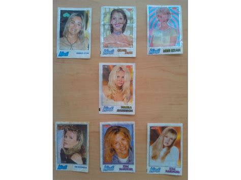 Pamela Anderson Sharon Stone Kim Basinger Meg Ryan 79060853