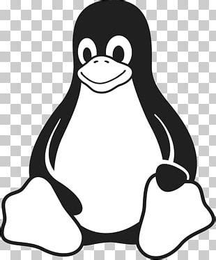 Tux Linux Ubuntu Logo Computer Icons PNG Clipart Beak Bird Black And White Computer