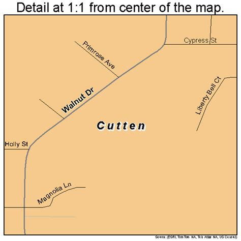 Cutten California Street Map 0617722