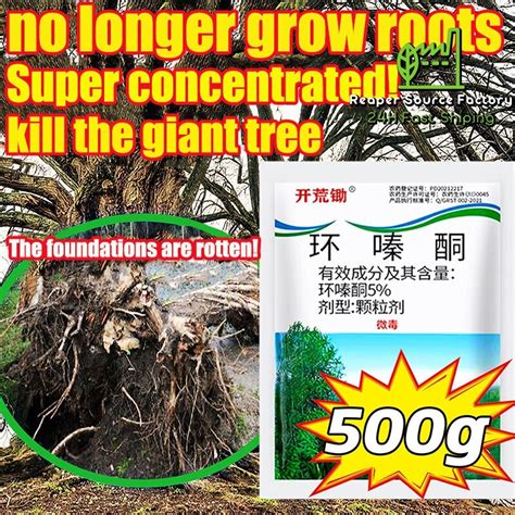 500g 5 Which Can Effectively Kill Big Trees And Bamboo Red Magic