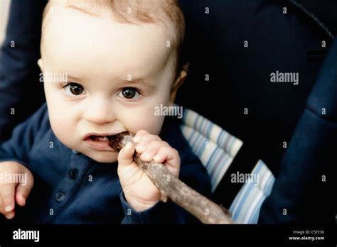 Chewing Biting Munching Hi Res Stock Photography And Images Alamy