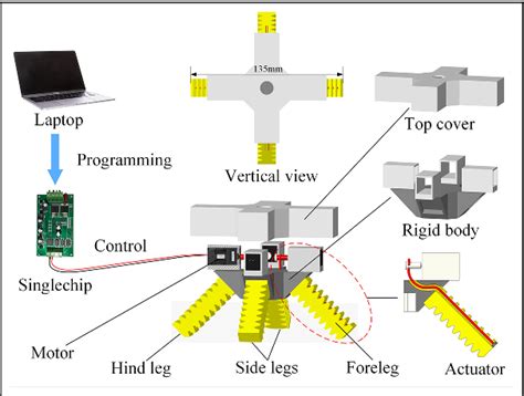 Figure 1 From Walking Locomotion Of A Cable Driven Soft Legged Robot Semantic Scholar