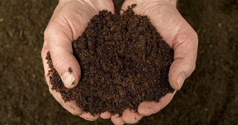 Monitoring Co2 Levels Critical For Compost Success