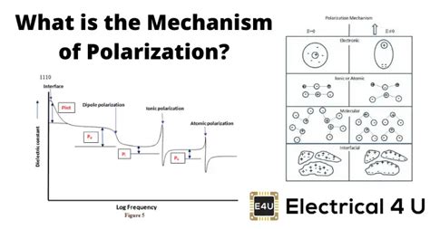 Mechanism Of Polarization Electrical4U