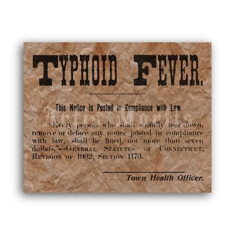 Printable Typhoid Fever Vintage Medical Broadside Virus Pandemic Sign
