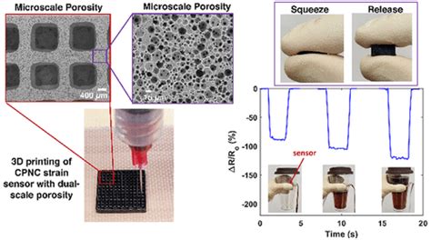 Three Dimensional Printed Highly Porous And Flexible Conductive Polymer Nanocomposites With Dual