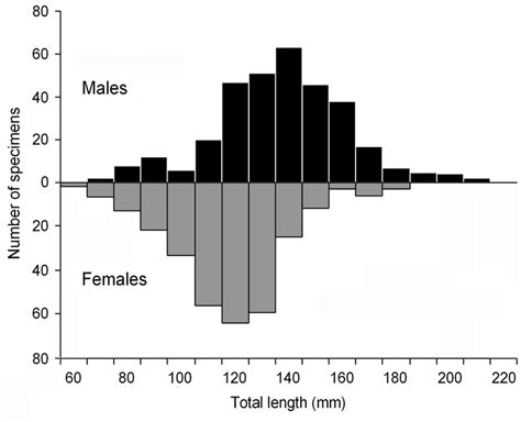 Coris Julis Length Structures Of Males And Females Sampled Between Download Scientific