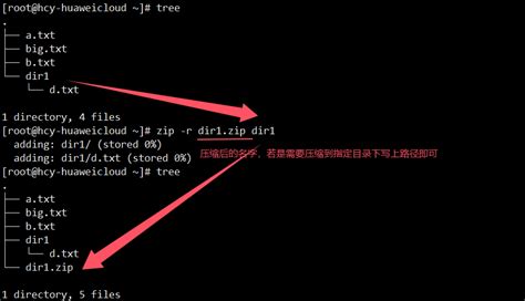 【寻找linux的奥秘】第一章：基础指令 csdn博客