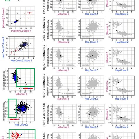 Platform And Screen Design A High Throughput Liver Platform B Download Scientific Diagram