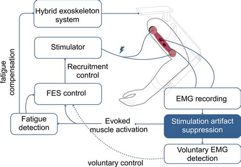 illustration of a typical emg driven closed loop fes system download