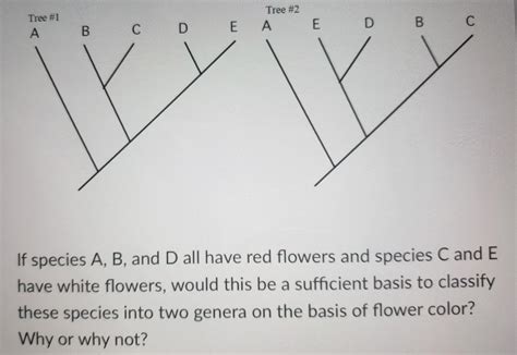 solved tree 1 А b c tree 2 e a d e db c how do